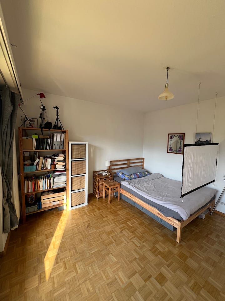 Helles Zimmer In Charmantem Altbau - Basel