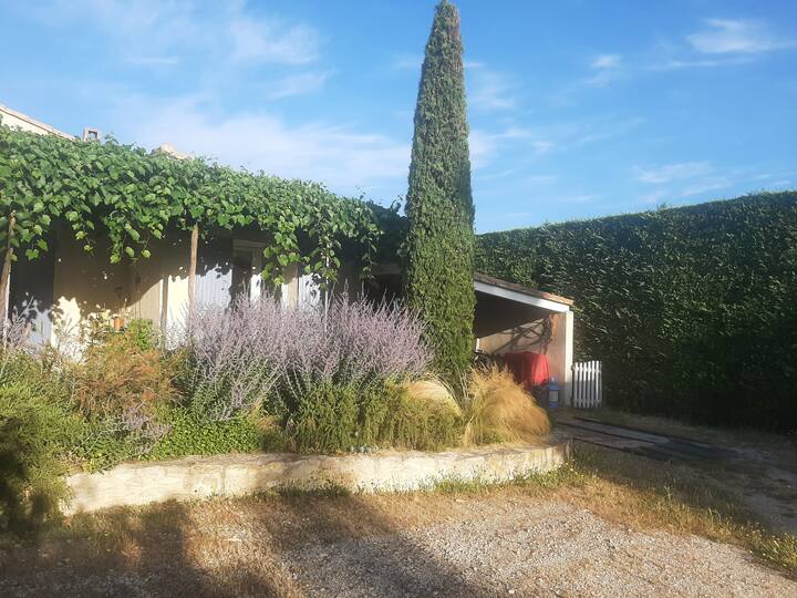 Location Studio Pleine Campagne - Pernes-les-Fontaines