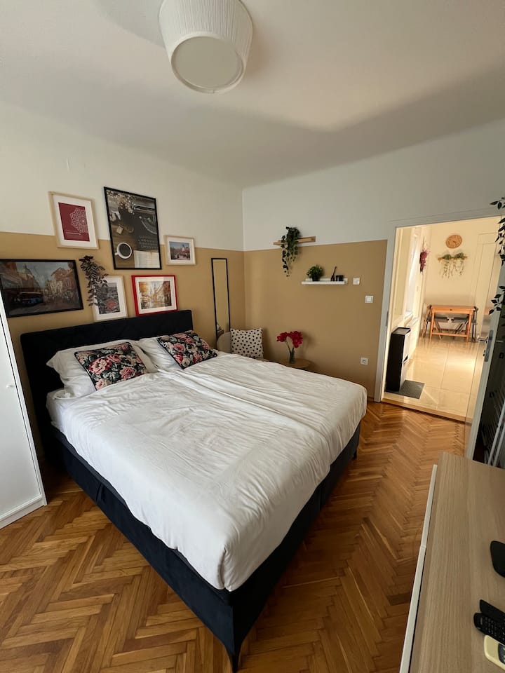 Central Flat - Zagreb