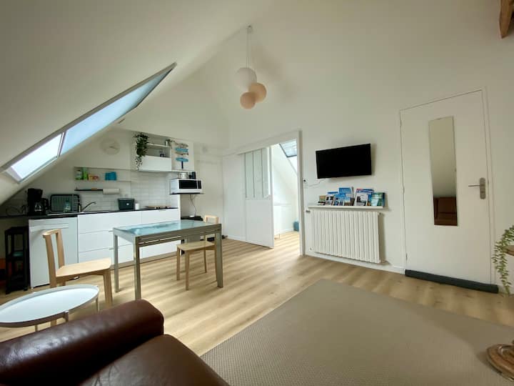 Joli Appartement Trois éToiles Avec Jardin Privé - Plozévet