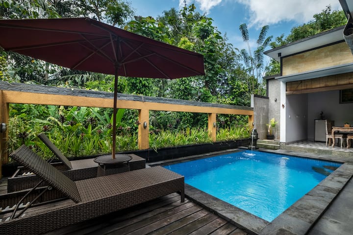 Private Couple Traveller Anggi Villa 2 - Bali