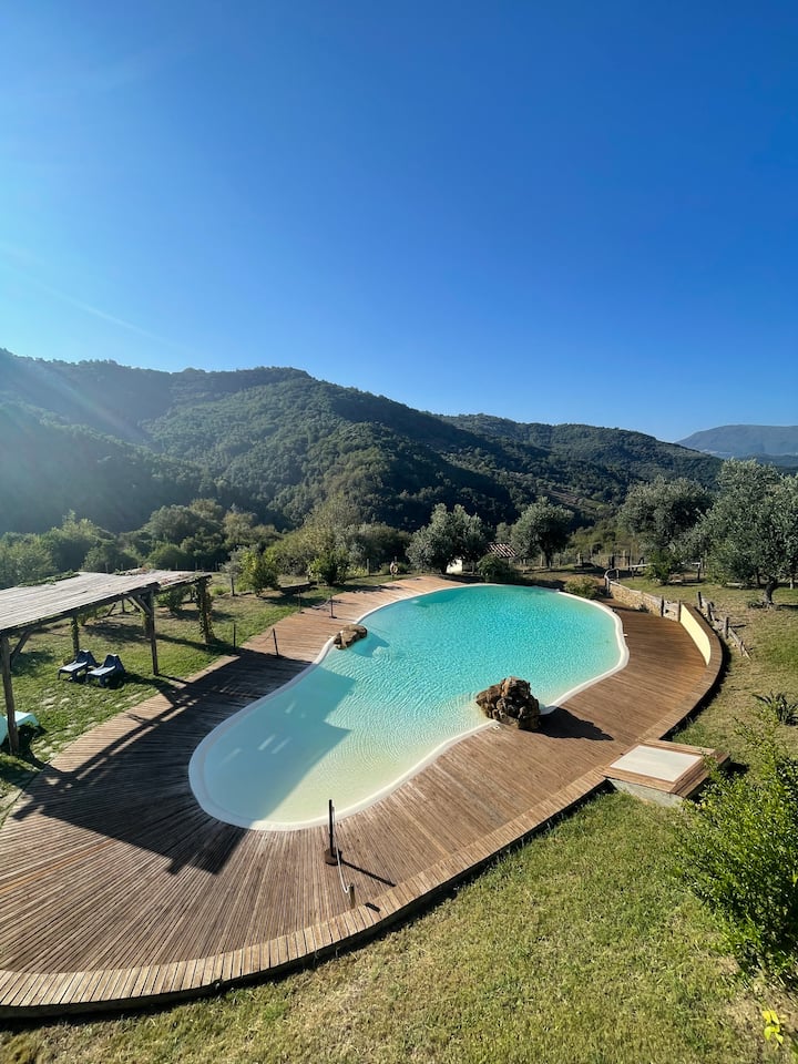 Green Room - Agriturismo Piano Di Andrea - Cilento