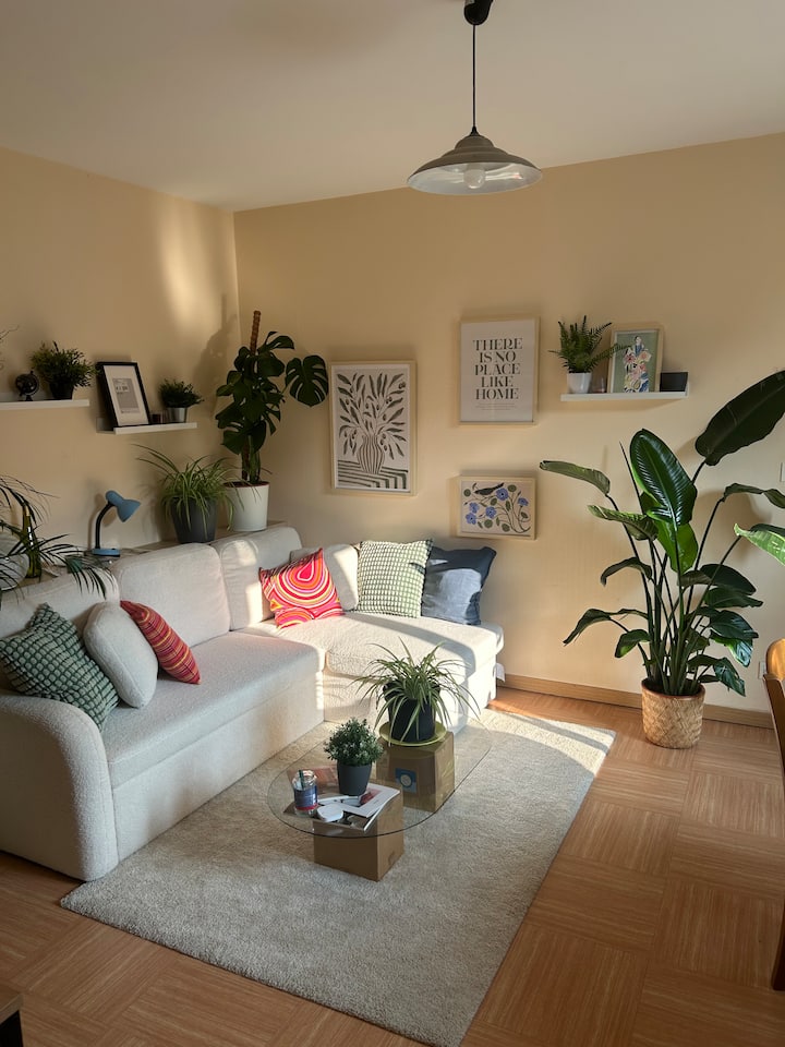 Le Paradis Bellamy - Nantes - Nantes