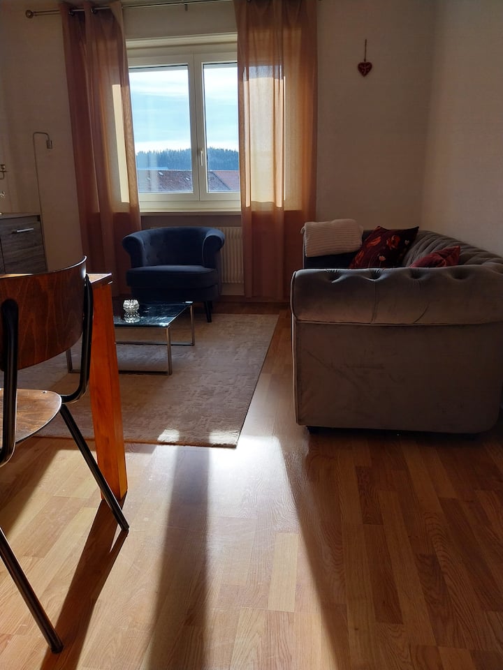 Appartement Charmant, Bien Placé - La Chaux-de-Fonds