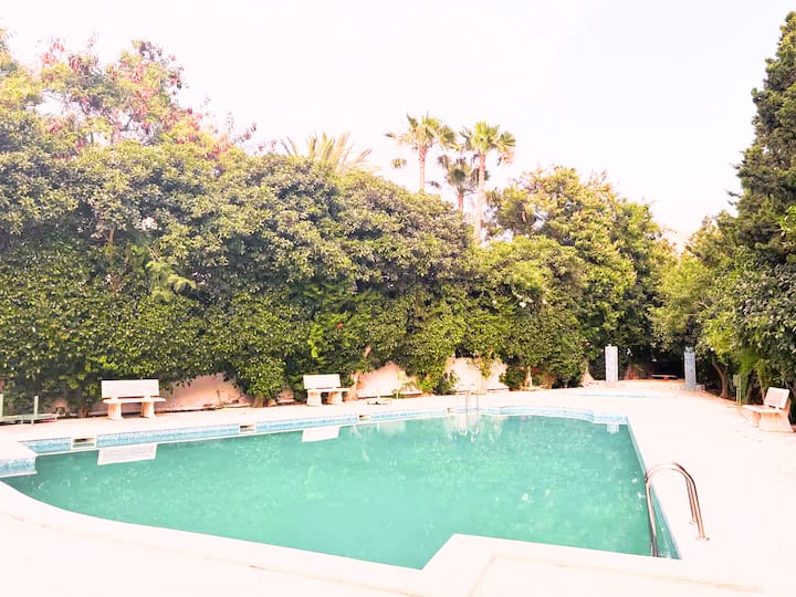 Appartement Charmant Et Luxueux à Yasmine Hammamet - Tunisie