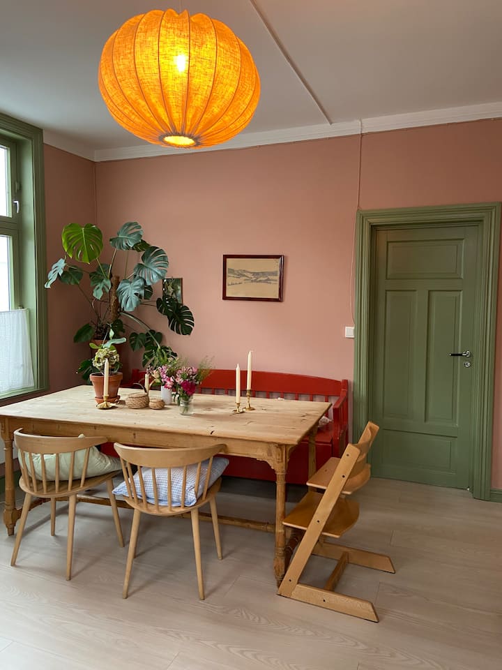 Koselig Og Barnevennlig Leilighet Ved Grünerløkka - Oslo