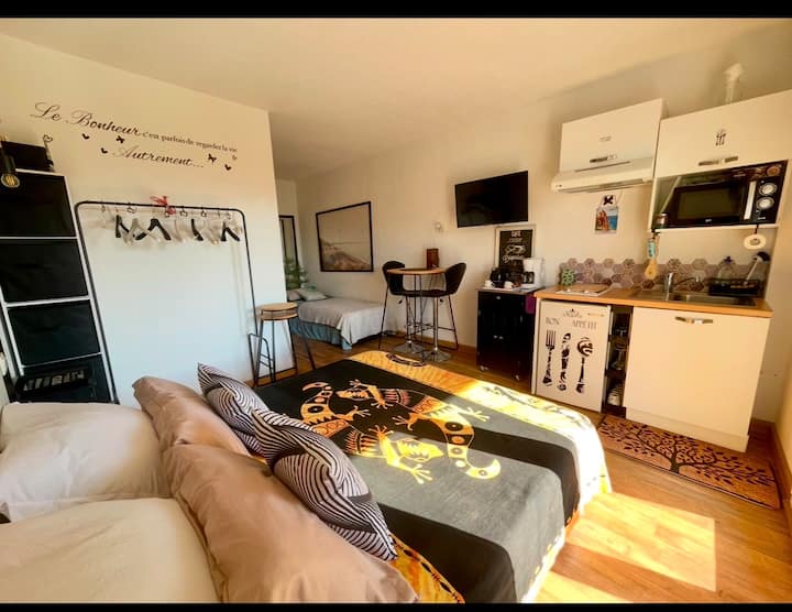 Studio Calme Parc 1h Av Piscine 
À 5mns Plage/port - Saint-Florent