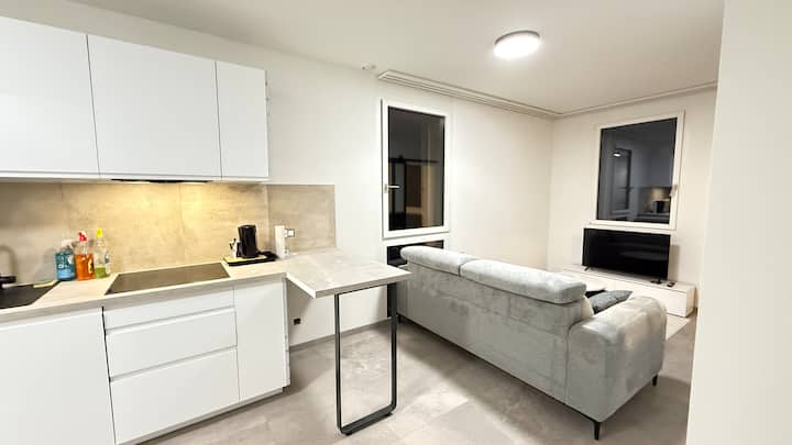 Logement De Standing Proche De La Gare Et Du Lac - Lausanne