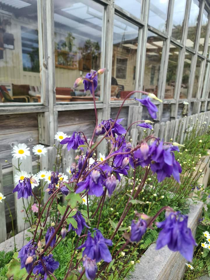 Stugan Utanför Bovallstrand - Tanum