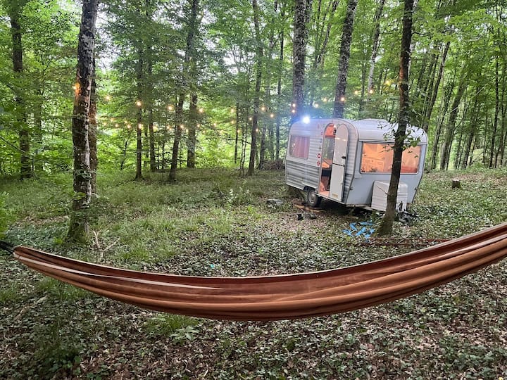 Caravane Perchée Dans Les Bois - Langeais
