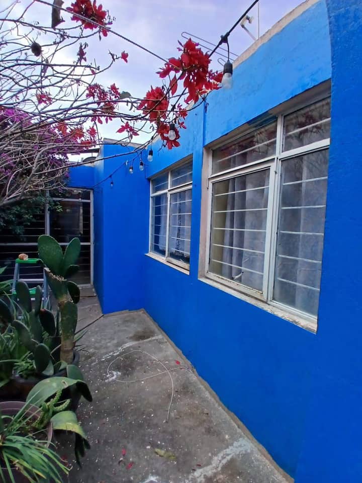 Feria Puebla, Centro, Plaza Dorada, Factura, Petf - Puebla