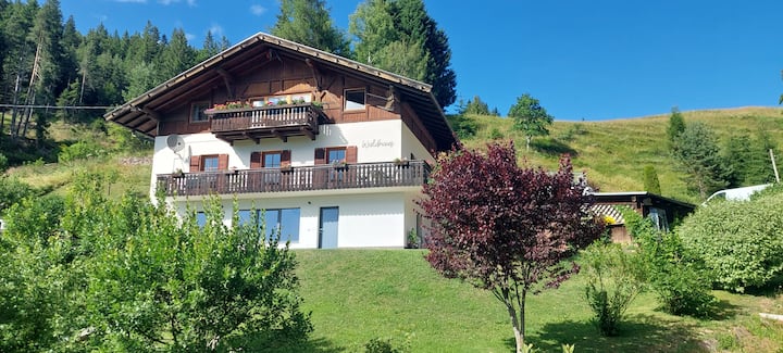 Waldhaus/obereggen Beautiful Hikingways + Skiing - Obereggen