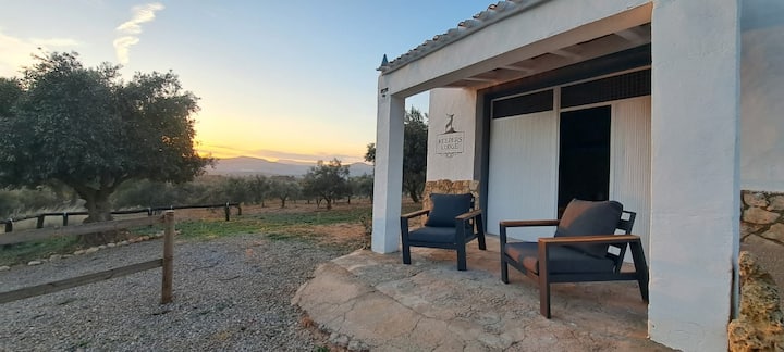 Keeper's Lodge - Ayora