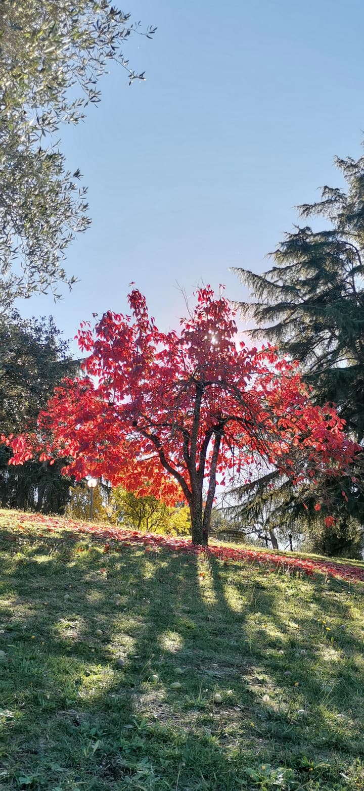 Rome Proche – Détente, Nature & Piscine - Lazio