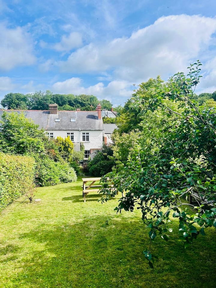 Home In Chittlehampton With Large Garden - Barnstaple