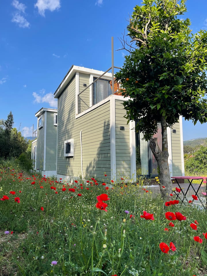 Lokal Tiny House - Adrasan