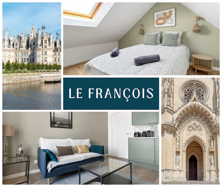 Le François - Hyper Centre - Espace & Confort - Orléans