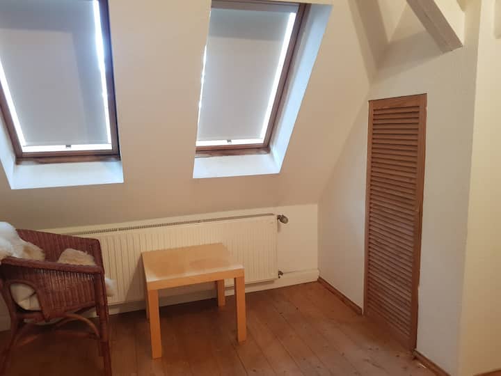 Gemütliche Dachgeschosswohnung - Markkleeberg
