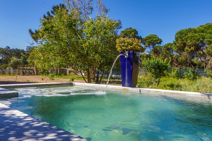 Kinta Do Meko - Sesimbra