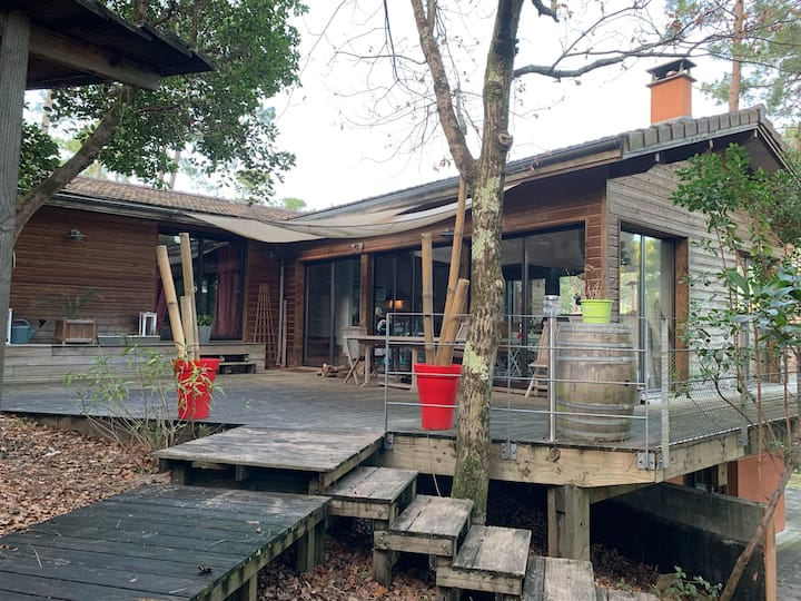 Belle Maison Contemporaine Bois - Cap Ferret