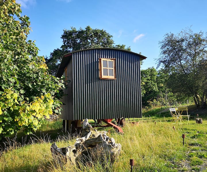 Harry's Hut - Herefordshire