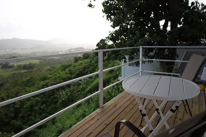 Vistas De Gurabo G - Caguas