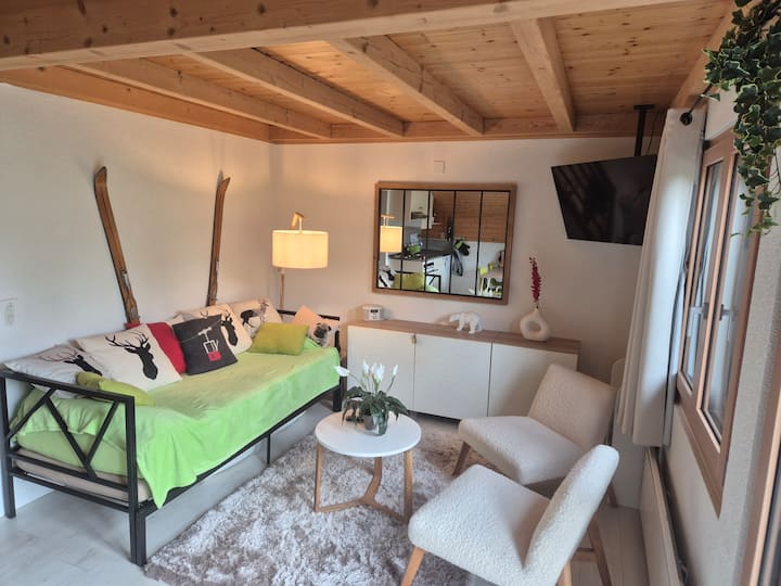 Joli Nid à La Montagne - Les Diablerets