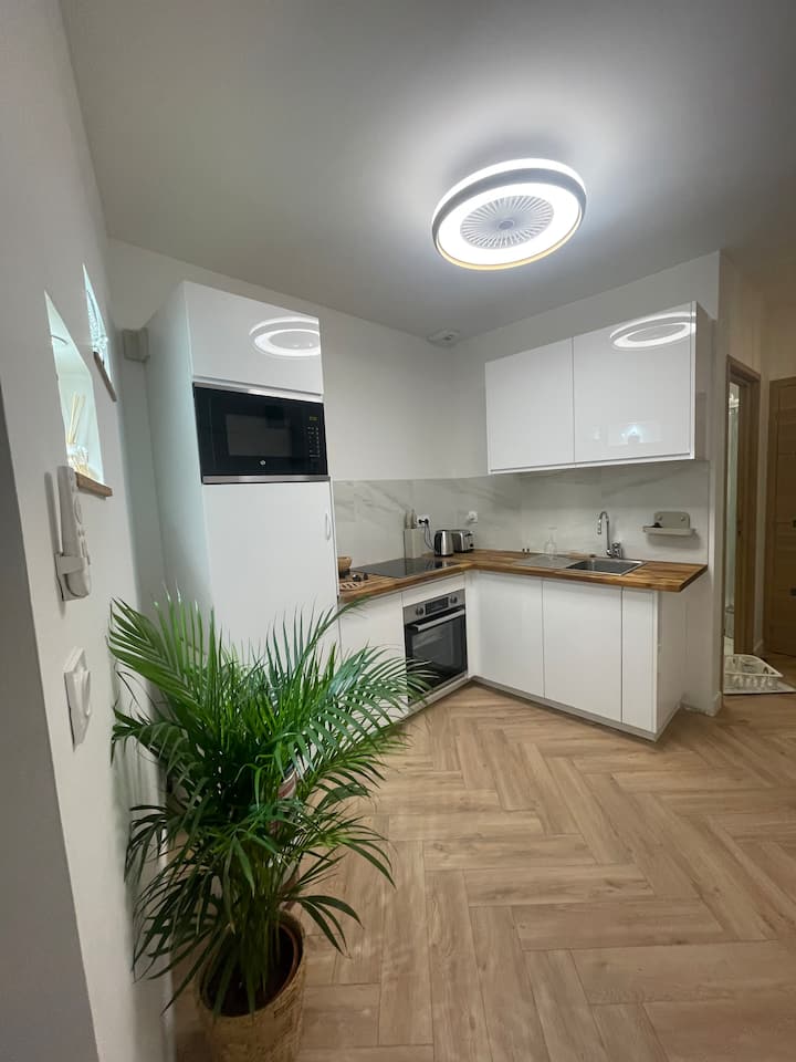 Charmant Appartement Rénové Au Calme Vieux-nice - 尼斯
