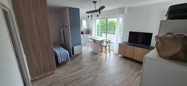 Studio Cosy - Balcon Et Parking - Saint-Jean-de-Luz