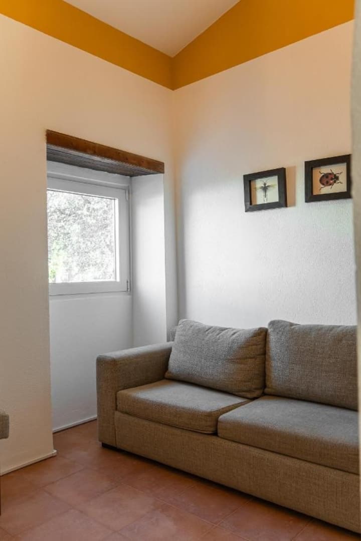 Vila Bita + Casa Estorninho - Almodôvar