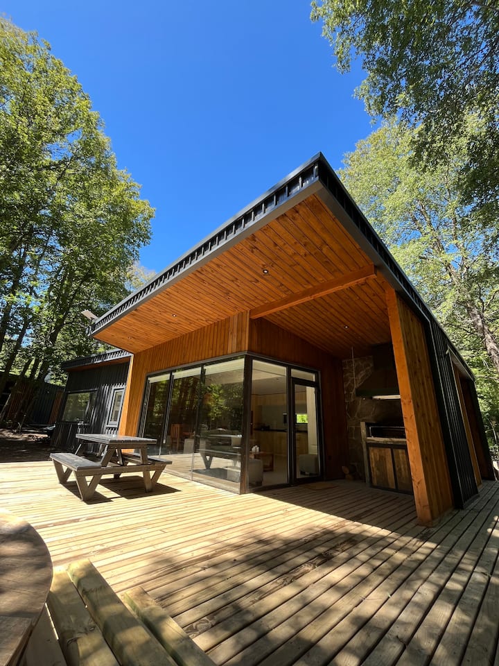 Viento Blanco Cabins | Chucao House - Lonquimay