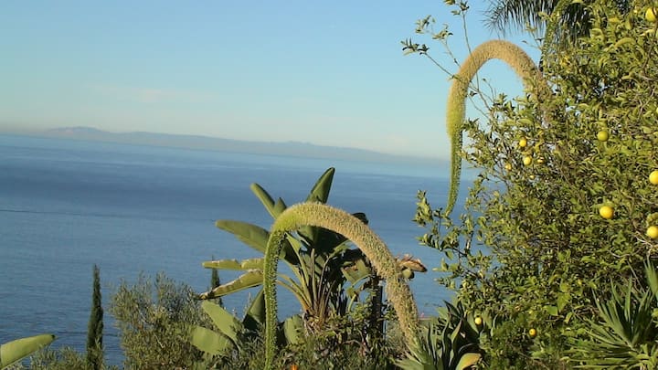 Laguna Beach Vintage Home With Coastal Views - Laguna Niguel, CA