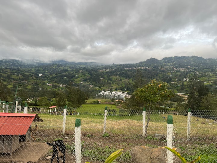 Alojamiento - Jenesano