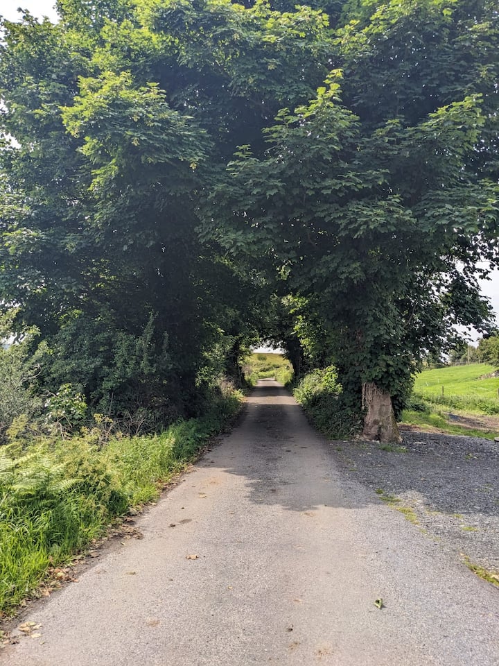 Tranquil Off-grid Cabin - Ballina, Ireland