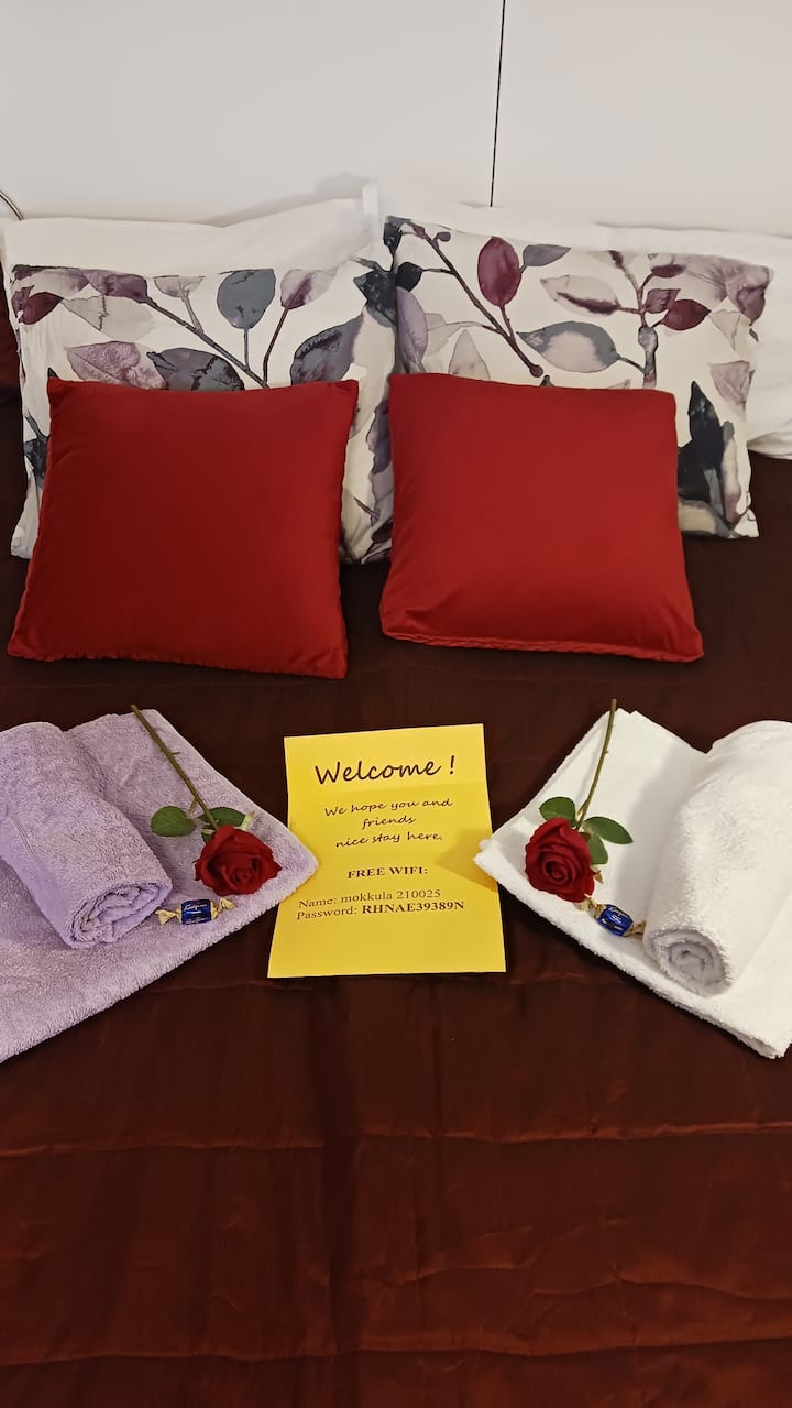 Family Deluxe. Queensize Bed. Spacious 60m2 House. - Savonlinna