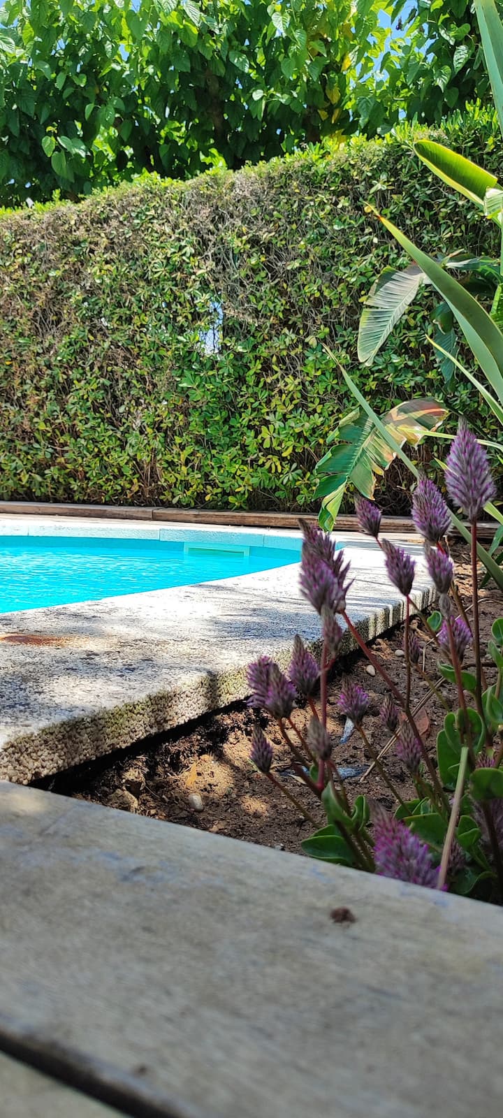 Villa Con Piscina A 200 M De Mar - L'Estartit