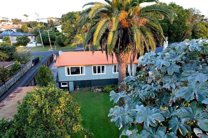 Sutherland Comfort - Tauranga