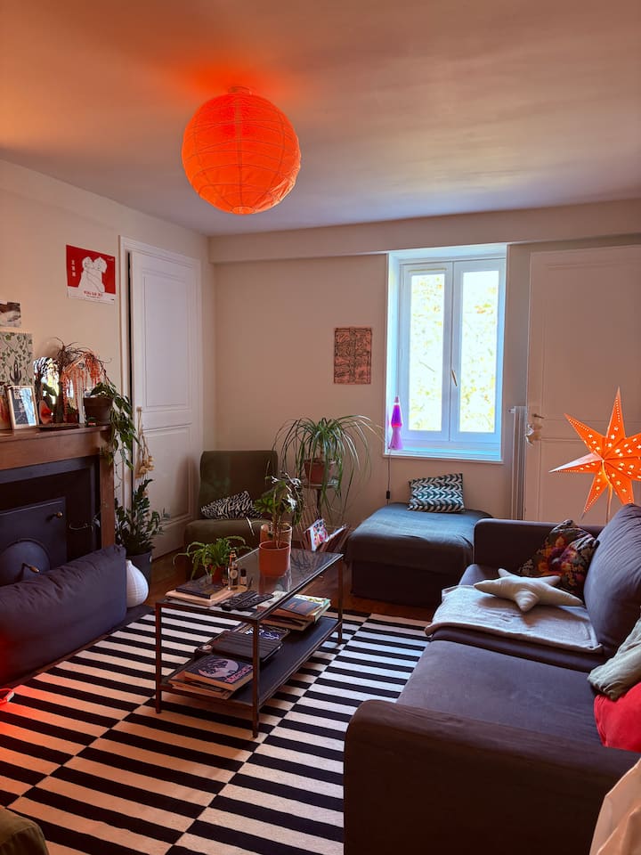 Appartement D’artiste / Cocon Lyonnais - Lyon