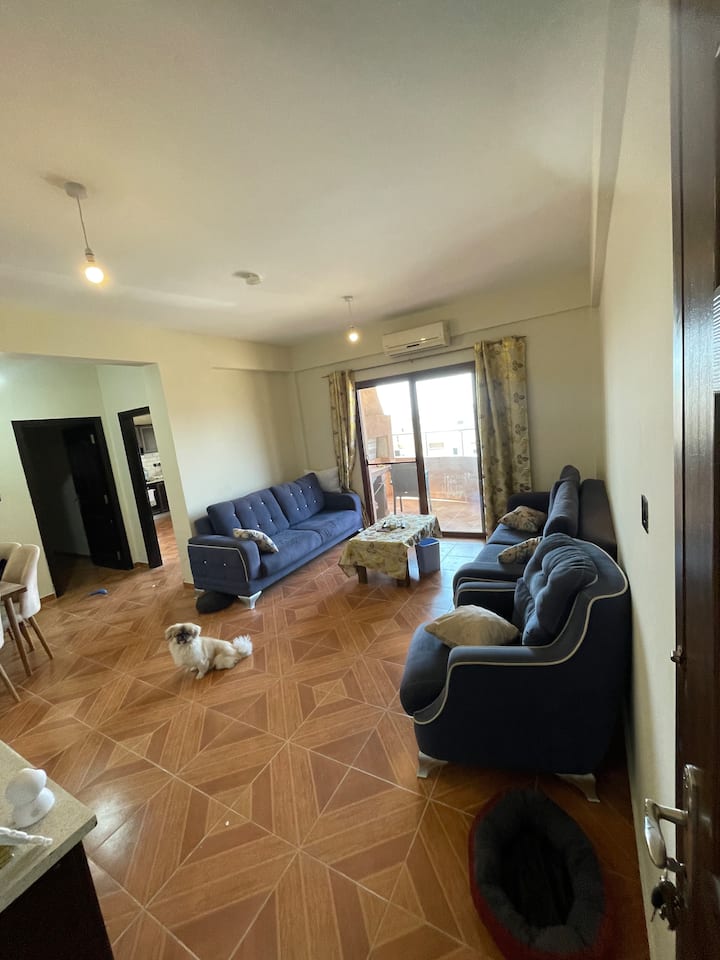 New Paint, New Furniture, - Фамагуста