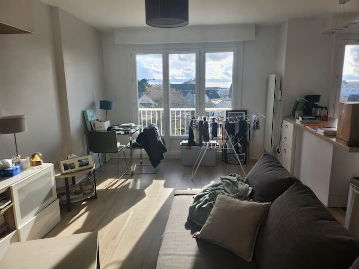 Appartement Clair Et Calme - Rennes