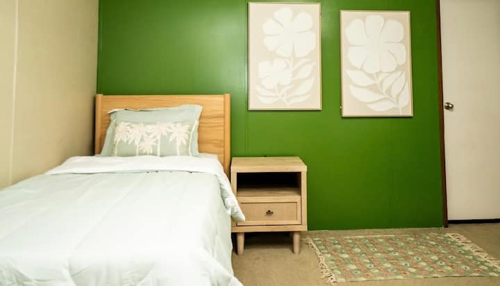 Charming Stylish Room 2 - Mansfield, TX