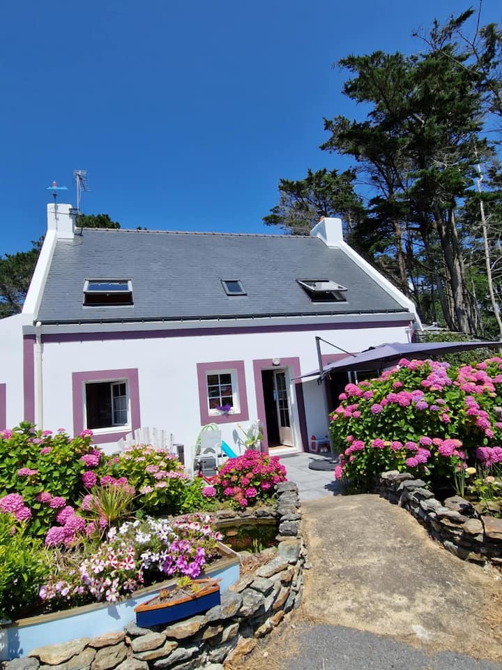 Chambre Chez L'habitant - Belle-Île-en-Mer