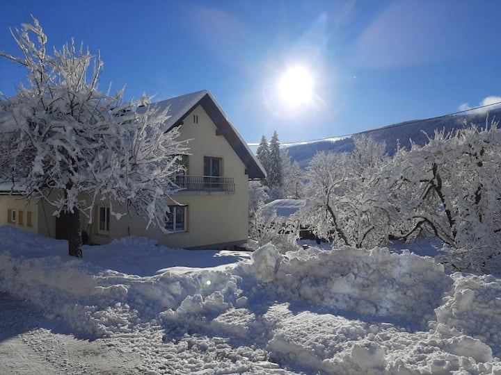 Ferienhaus Lois - Weissensee