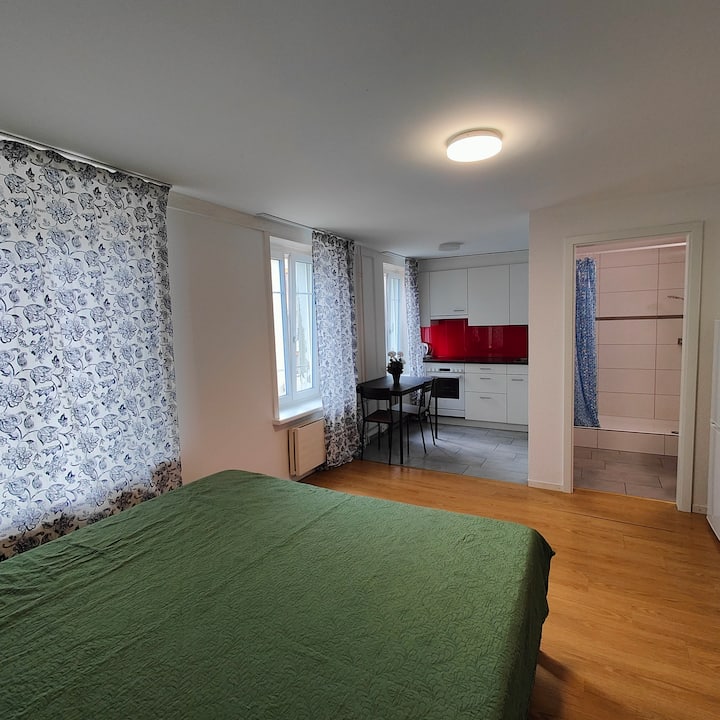 Apartment, Ruhige Lage St Gallen - St. Gallen