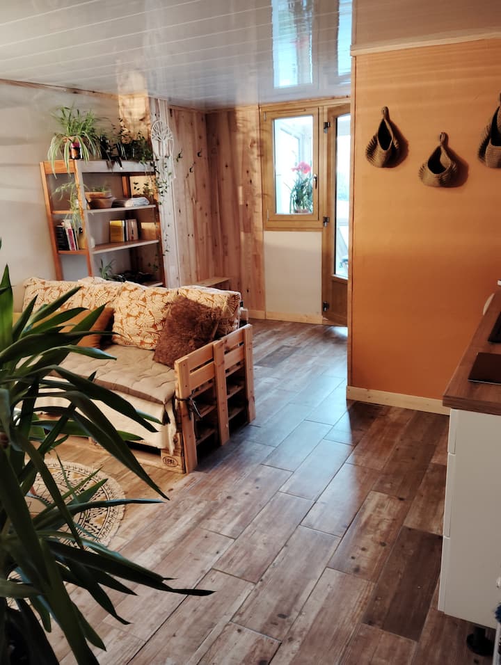 Appartement T2 à 2 Pas Du Lac - Clairvaux-les-Lacs