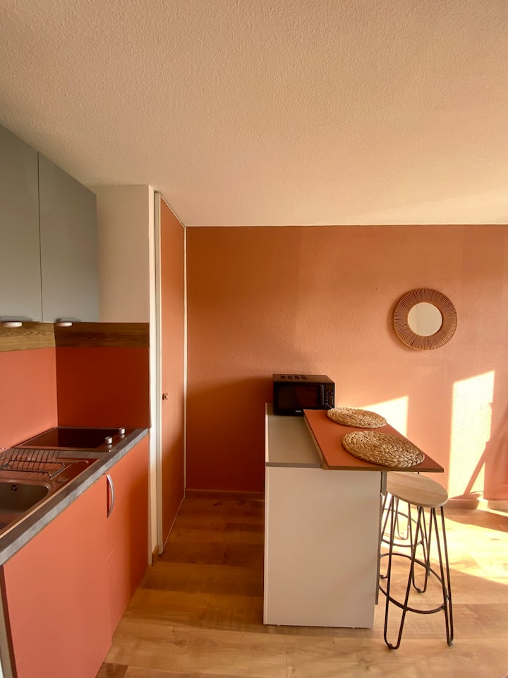 Le Cocon Du Lac – Appartement Cosy à Annecy - Annecy