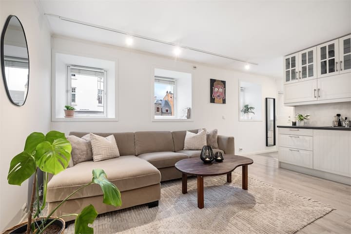 Sentral Leilighet - Trondheim