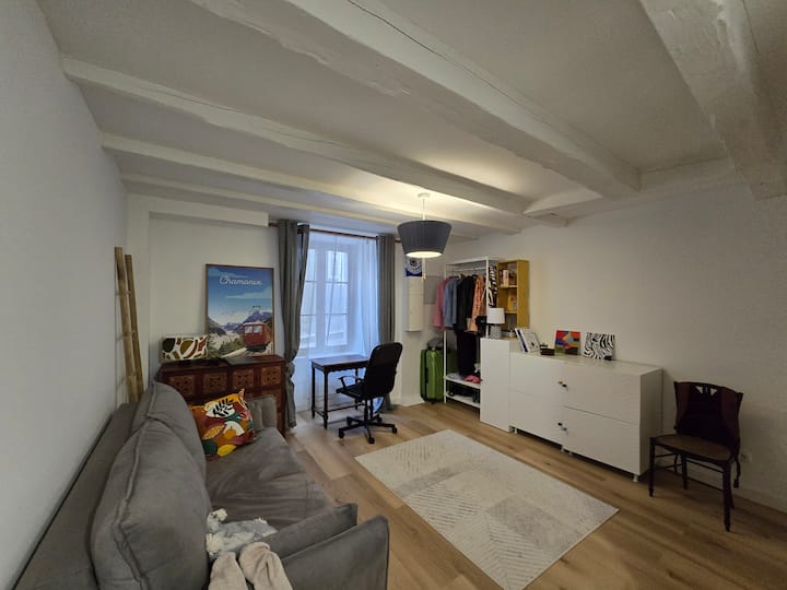 Studio Au Pied Du Jura - Gex