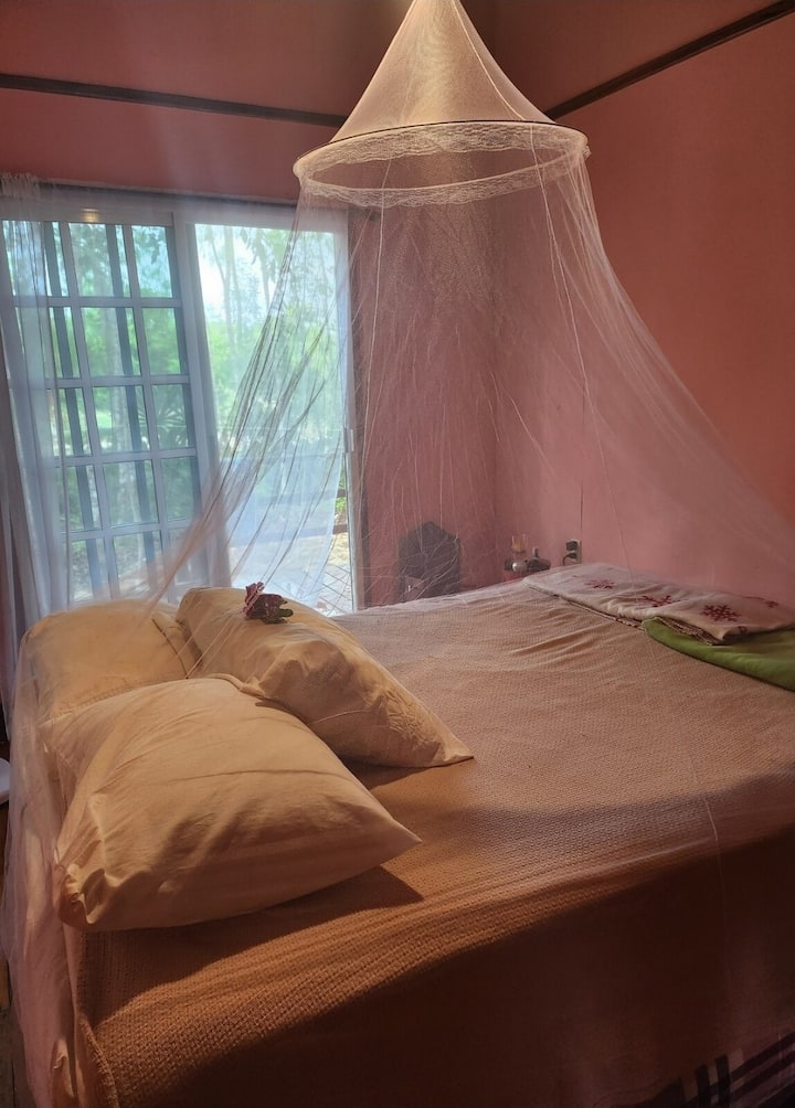 Jungle Retreat Casa Thirsty Belize Coconut - Corozal, Belize