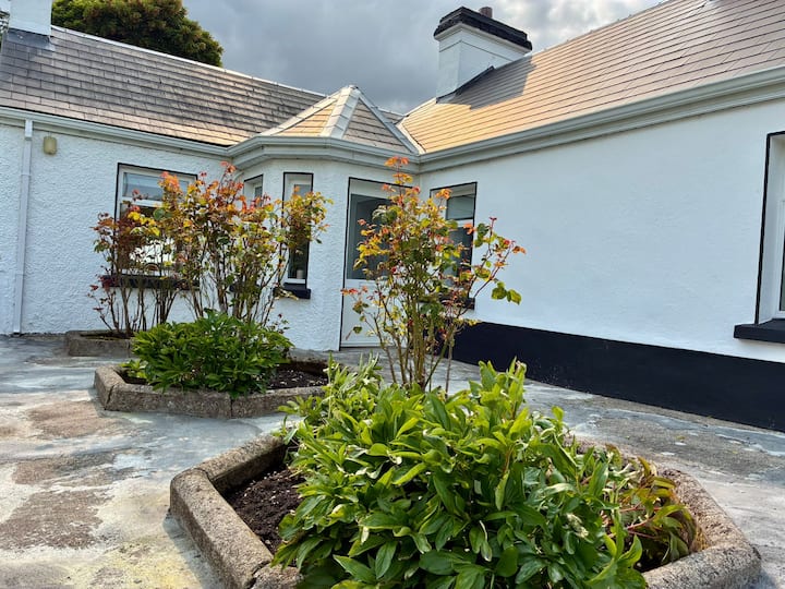 Vintage Farm Cottage - Mayo
